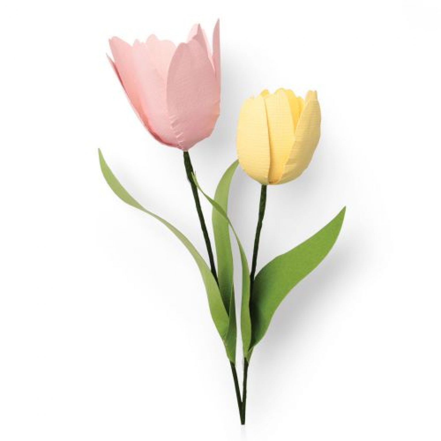 Flower Delivery – Jenis Bunga Untuk Hadiah dan Maksudnya – Oh Balloon